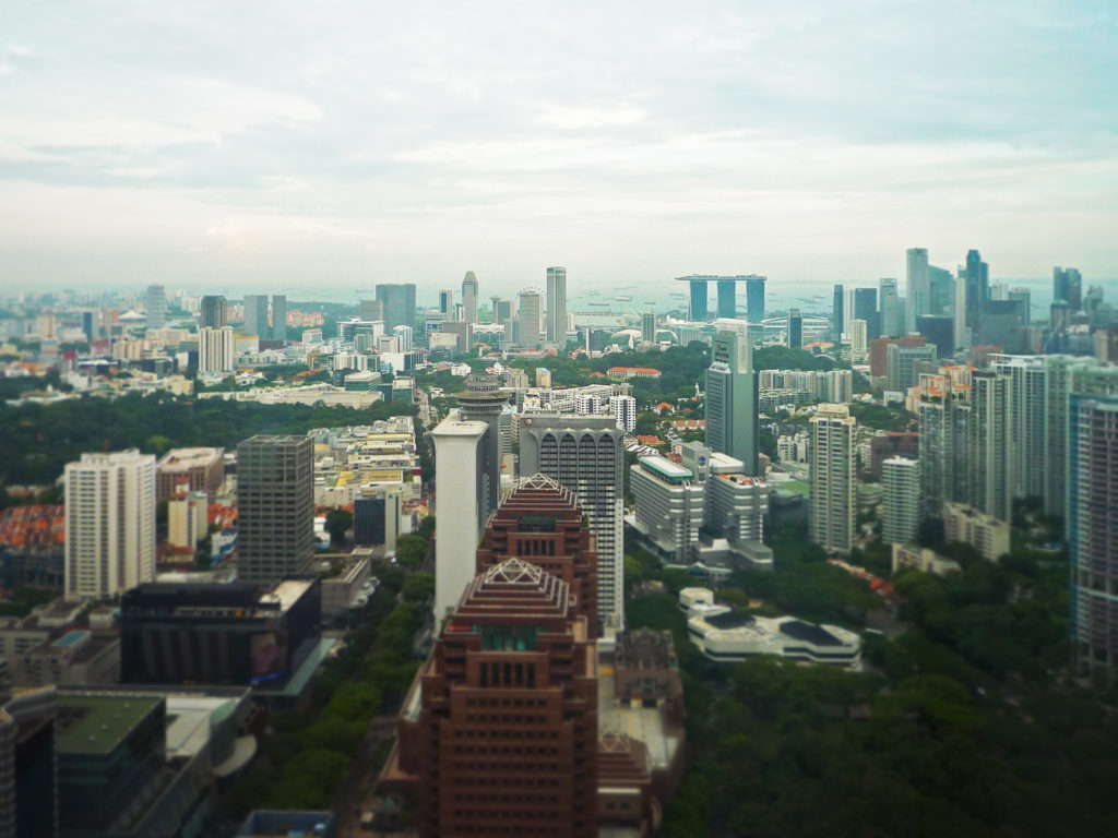 About Archigardener - ARCHIGARDENER