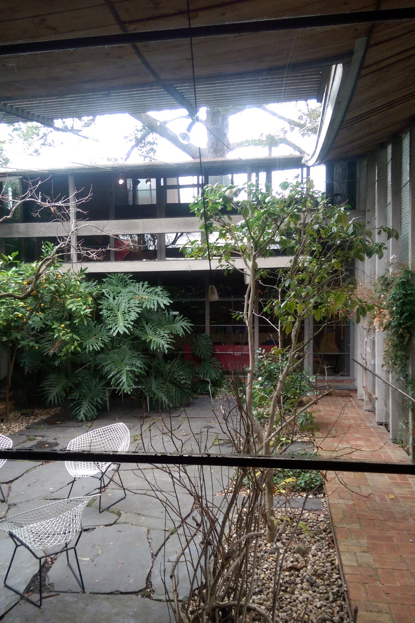 Robin Boyd Foundation - archigardener